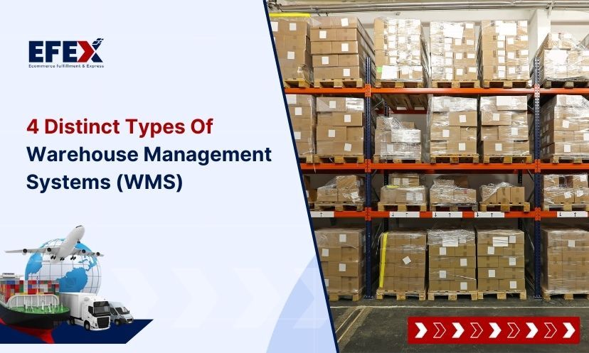 4 Distinct Types Of Warehouse Management Systems (WMS)